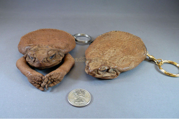Cane Toad Key Purse